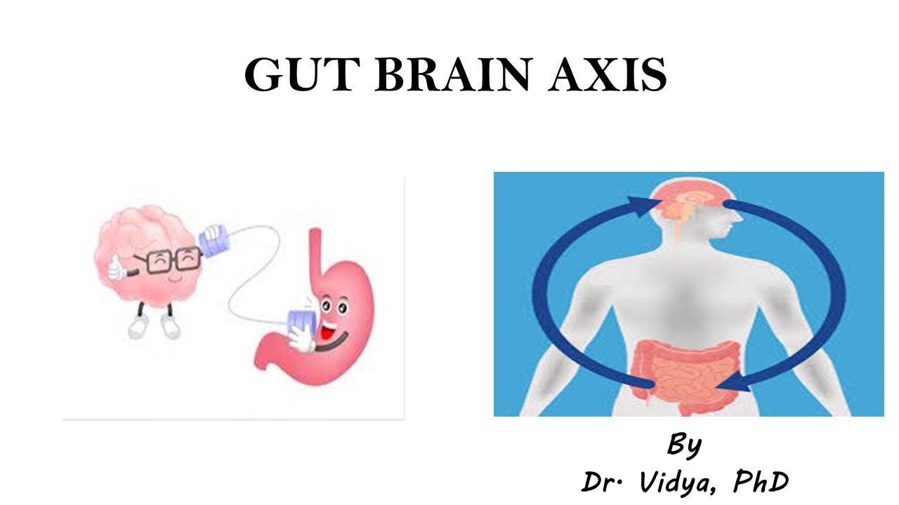 Physiology of Gut-brain-axis made easy - YouTube