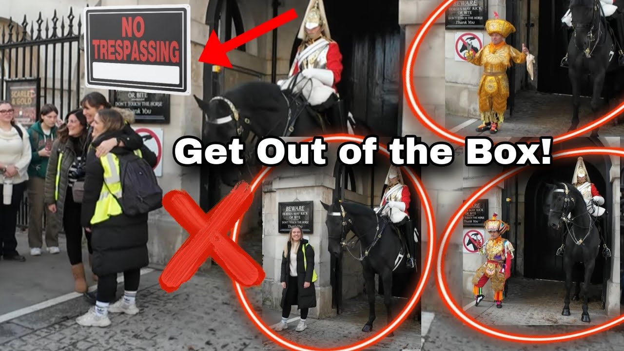 "NO WAY"! This is too much!😳 Why do tourists keep IGNORING the RULES? ️ ...