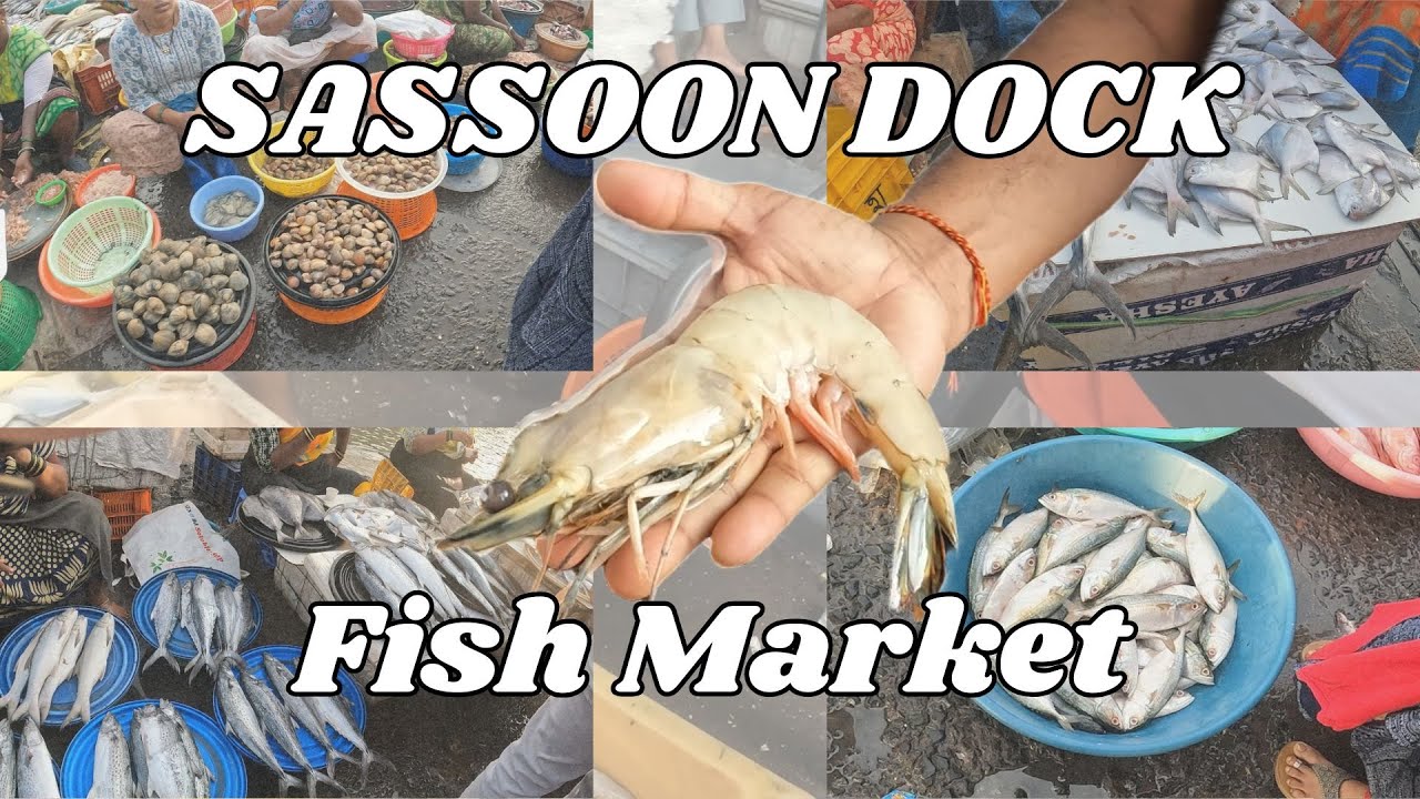 Mumbai Colaba Fish Market | Colaba Wholesale Fish Market | Sassoon Dock ...