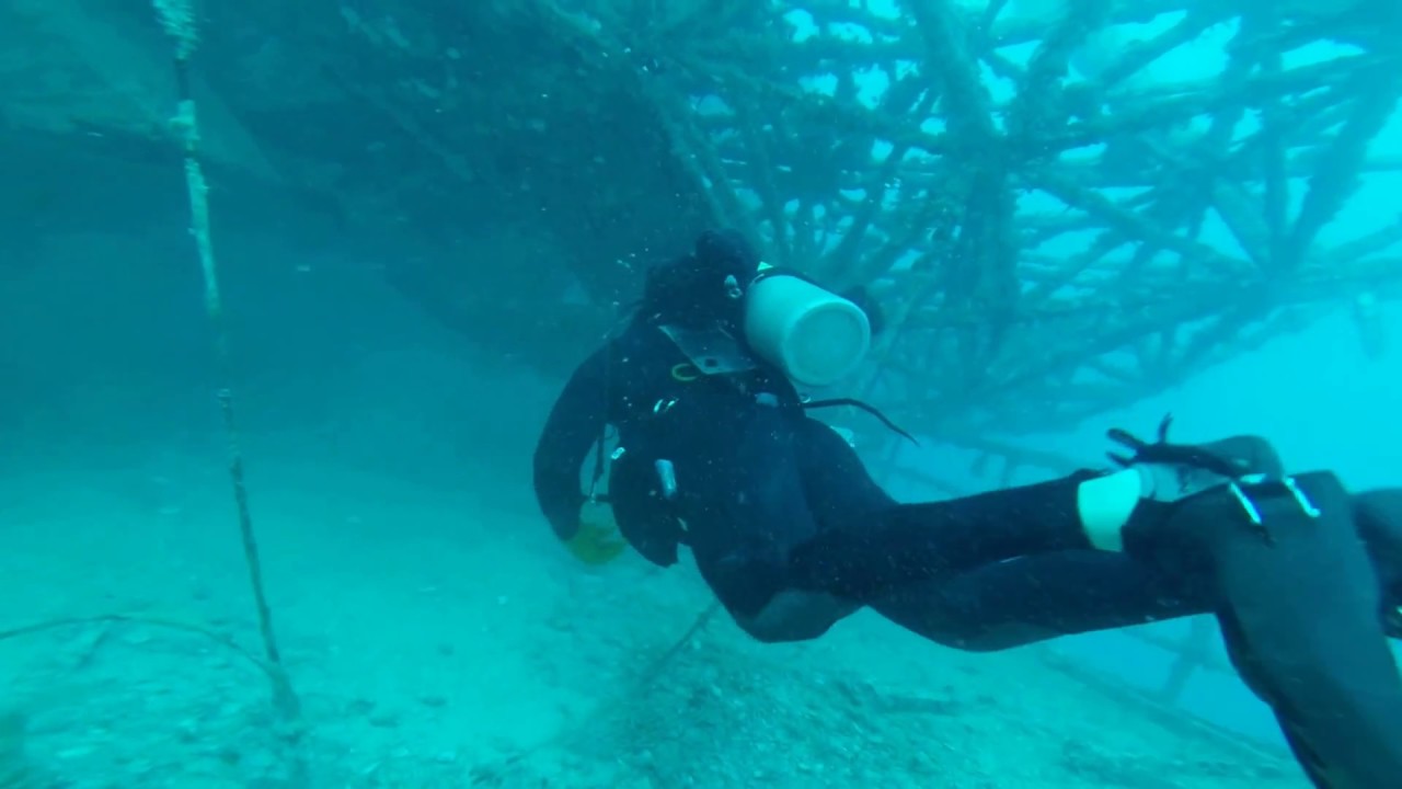 The Vandenberg Wreck Dive - YouTube