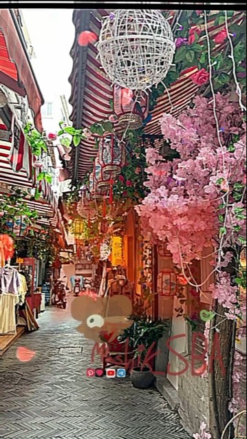 DA GE MEI 🌿#edit#эдит#DAGEMEI#анимация#animation - YouTube