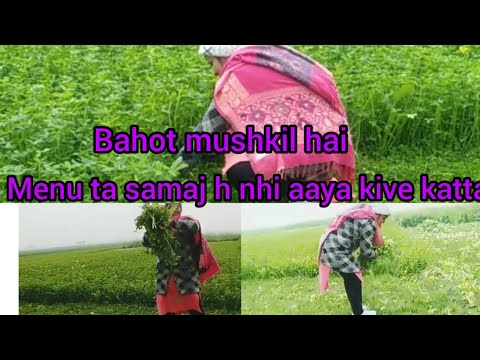 menu ta samaj nhi aai kive katta #viralvideo #dailyvlog #subscribe #ekamvlogs