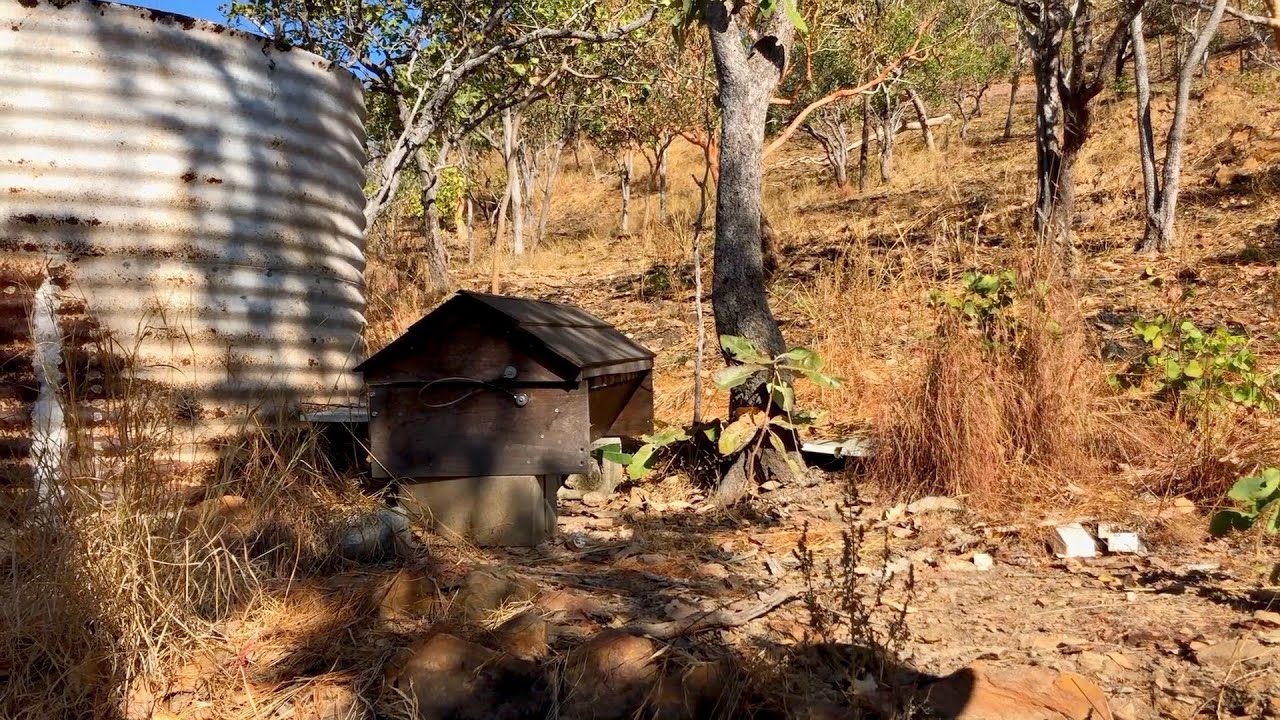 Bee Cowboy | Kenyan Top Bar Beekeeping in the Desert - YouTube