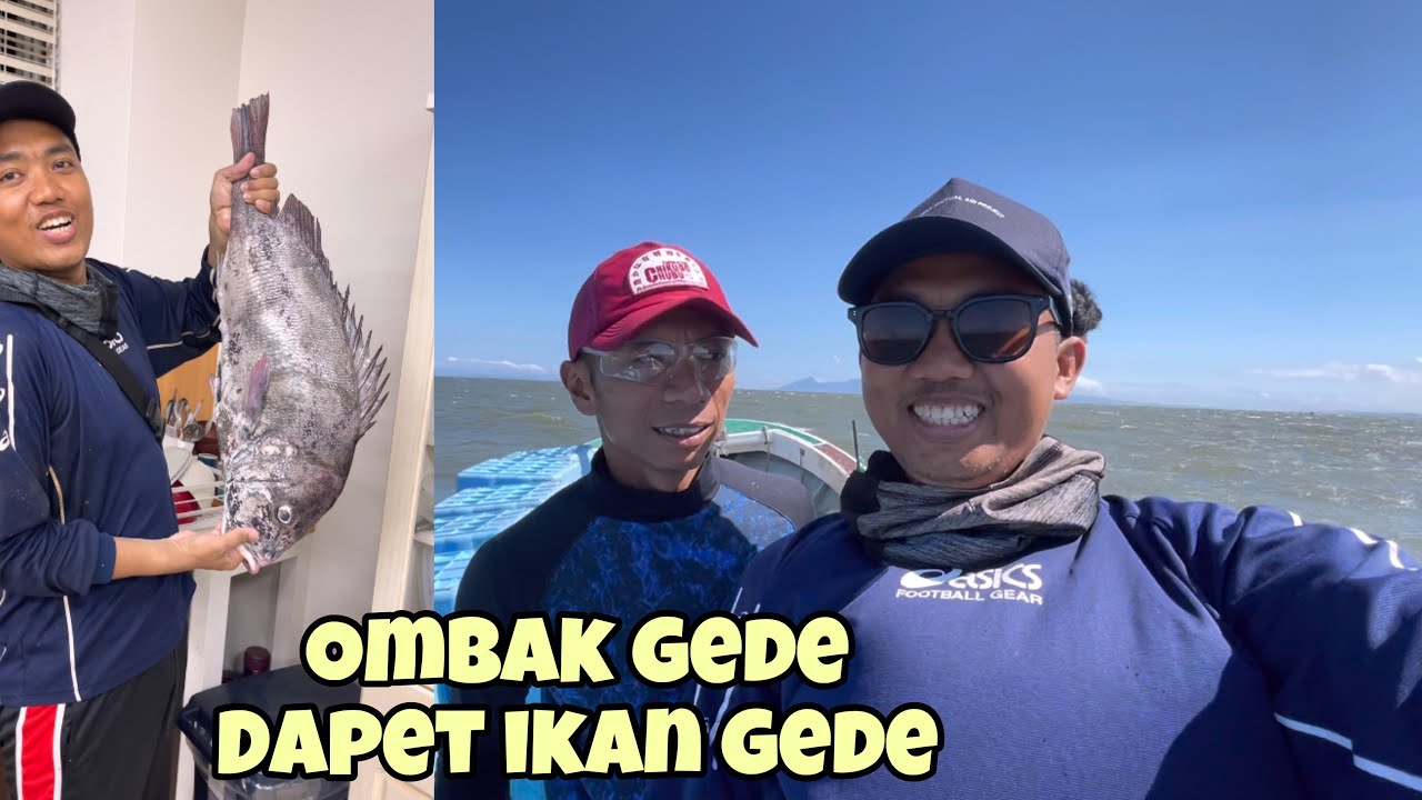 KERJA OMBAK GEDE DAPET IKAN GEDE‼️Bajidot di Jepang - YouTube
