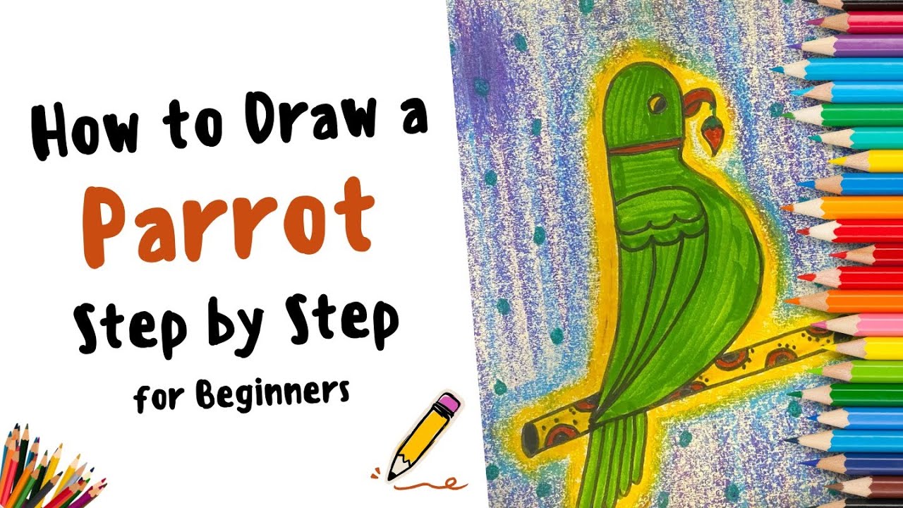 How to Draw Parrot Step by Step for Beginners | Bird Drawing Colour. # ...