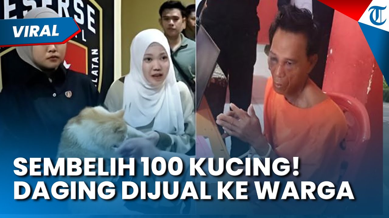 SEMBELIH 100 KUCING! Sujadi Kemudian Jual Dagingnya ke Warga dengan ...