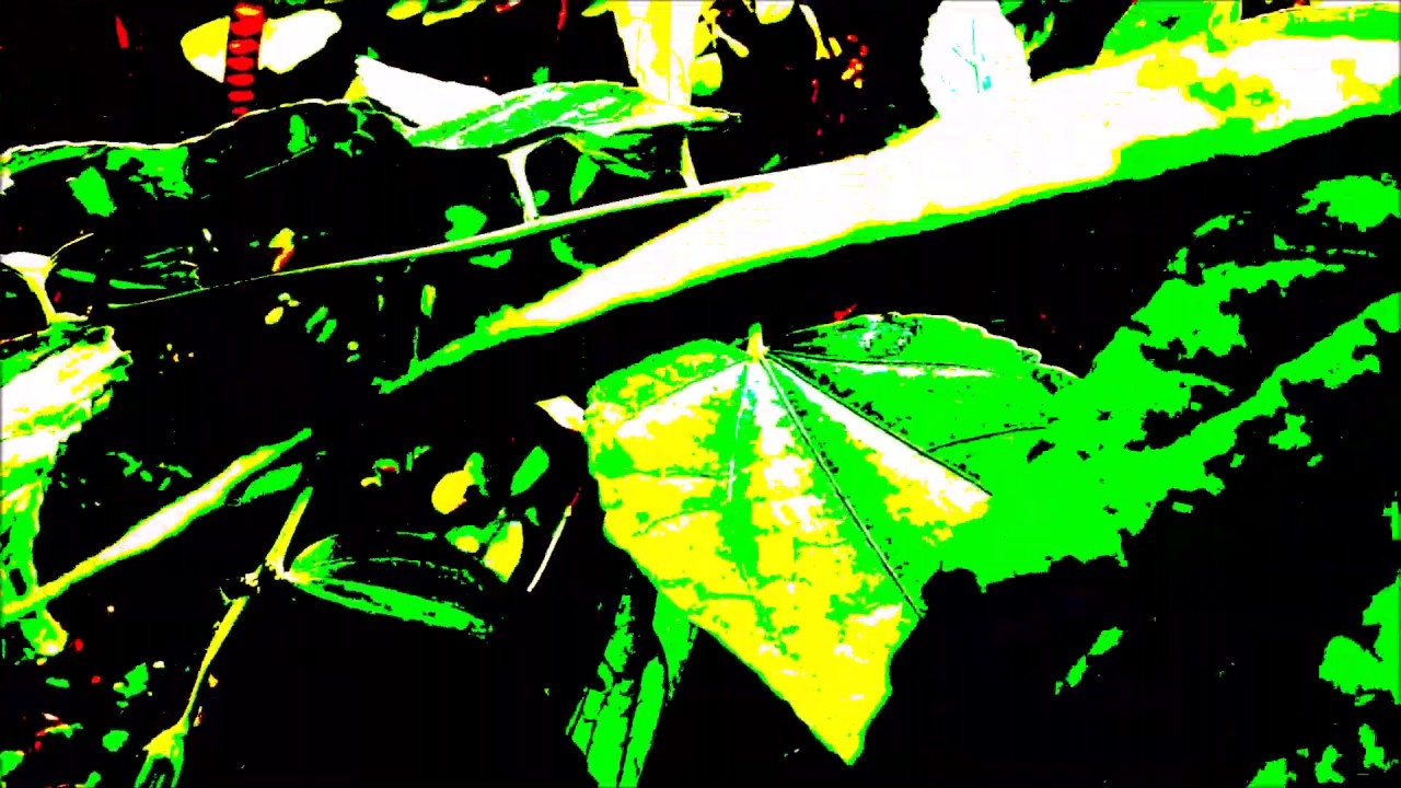 DEEP Coloring Animation | ColorInk Entertainment | Make'S - YouTube