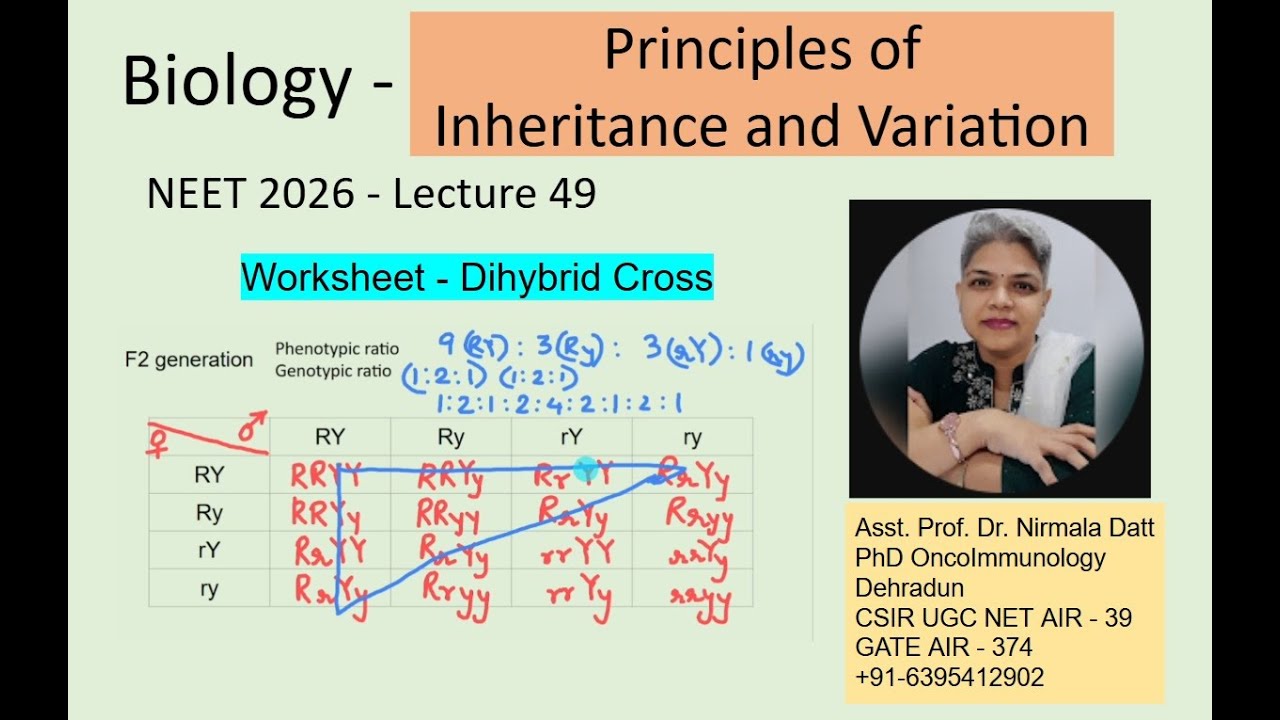 Genetics worksheet - How to write Step by step Mendelian DIHYBRID CROSS ...