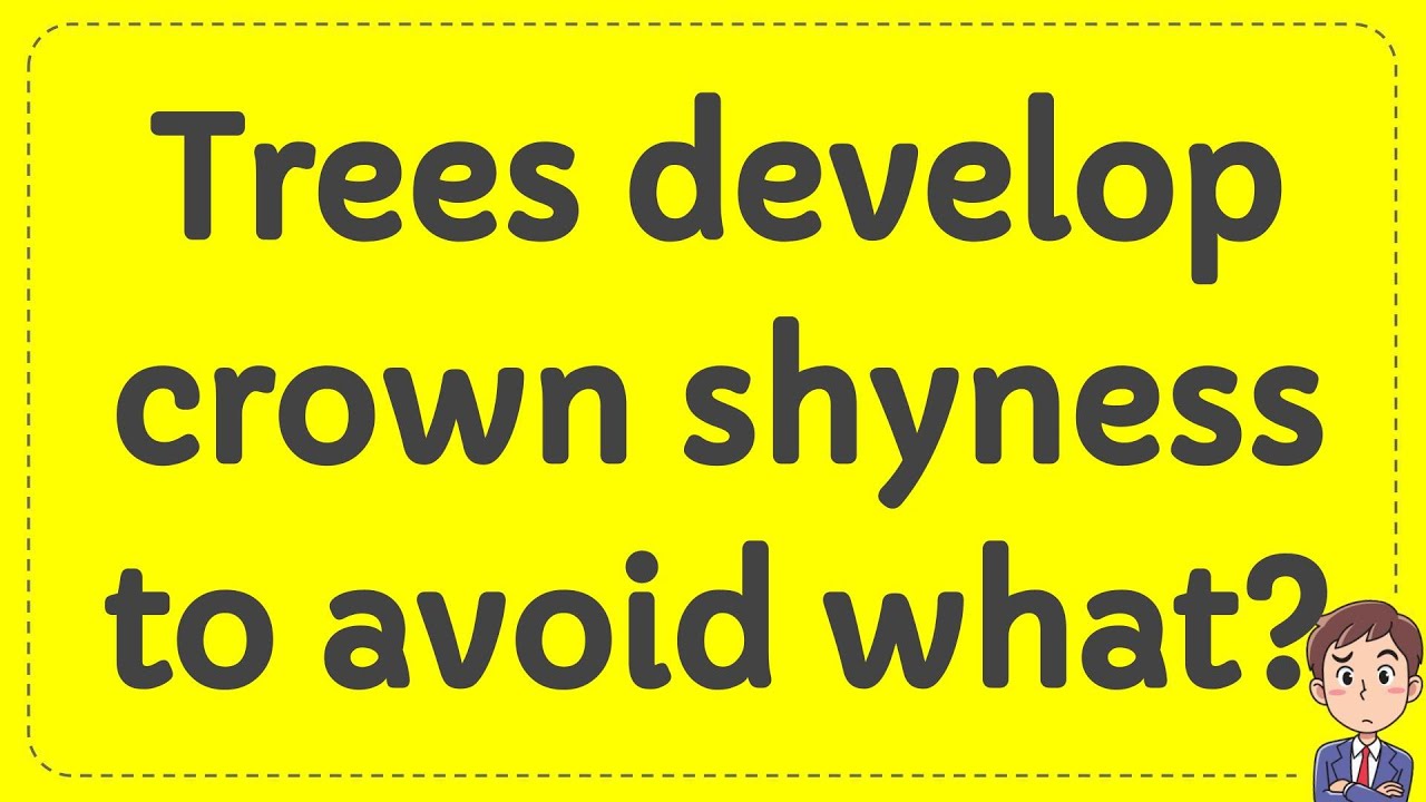Trees develop crown shyness to avoid what? | Answer - YouTube