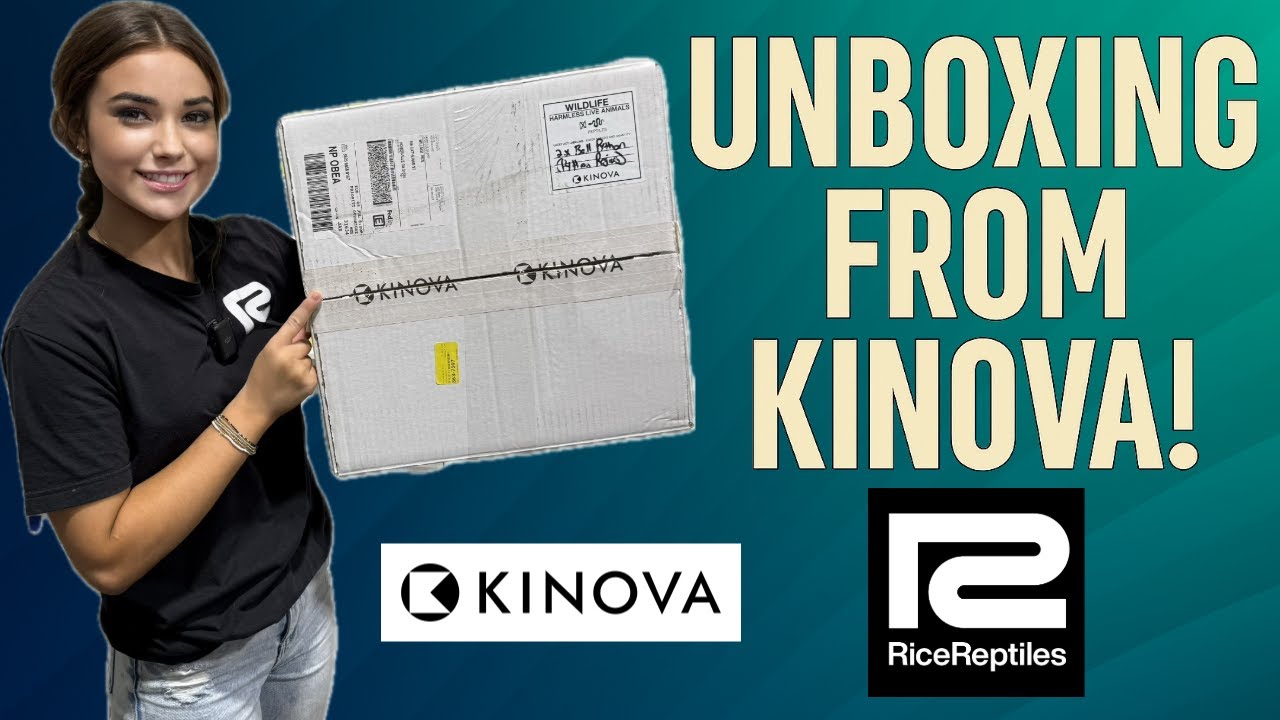 Unboxing from Kinova! 🐍📦🔥 - YouTube
