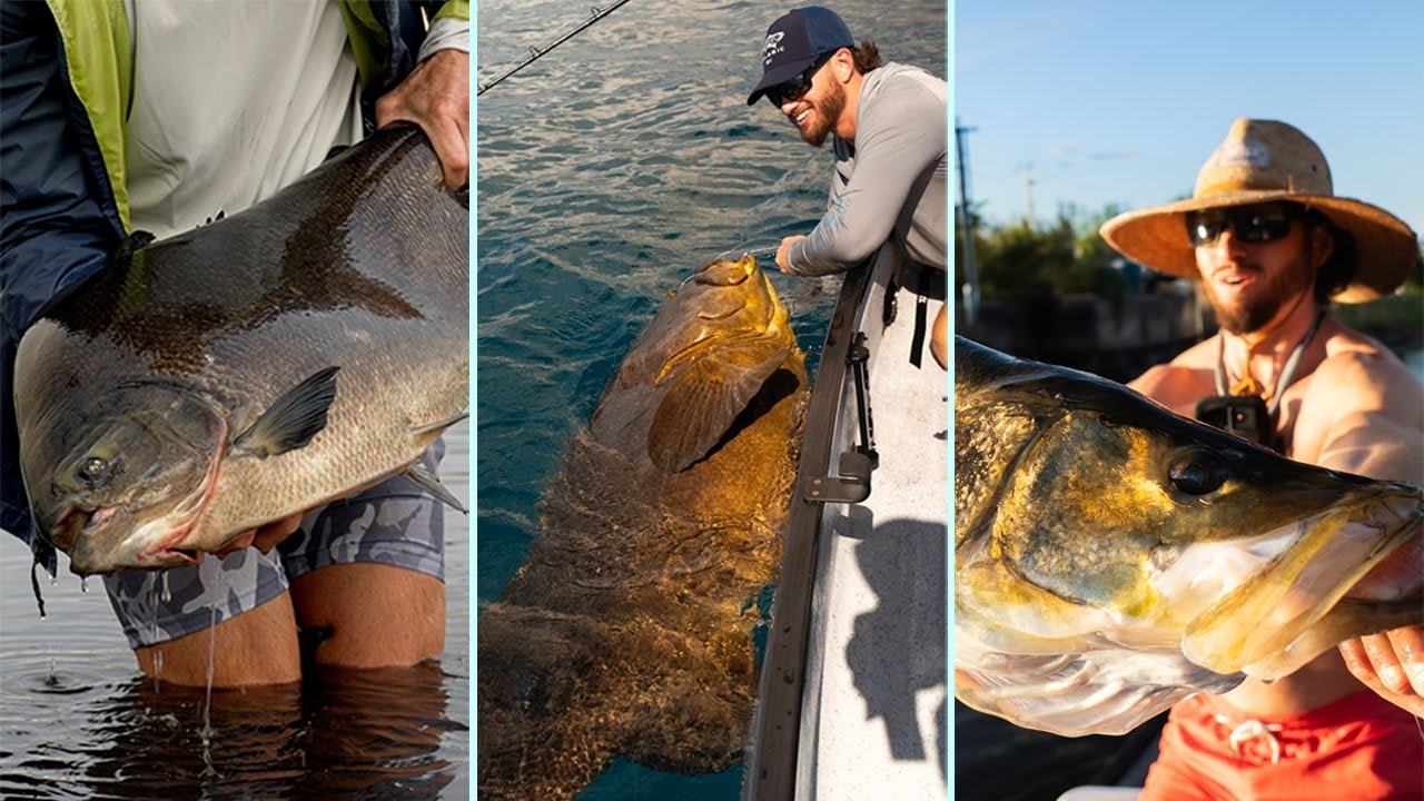 5 Fish Of A Lifetime In 32 Minutes! - YouTube