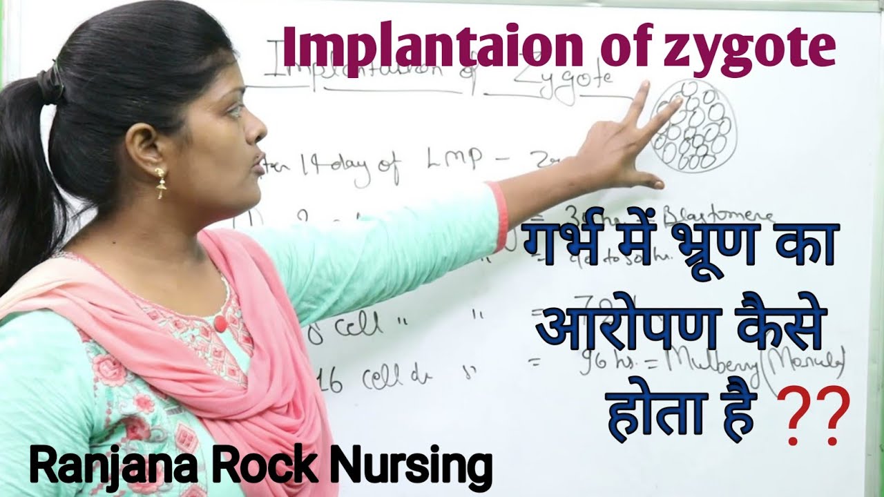 What is Implantation by Ranjana|अंडे का गर्भ में आरोपण होना|Function of ...