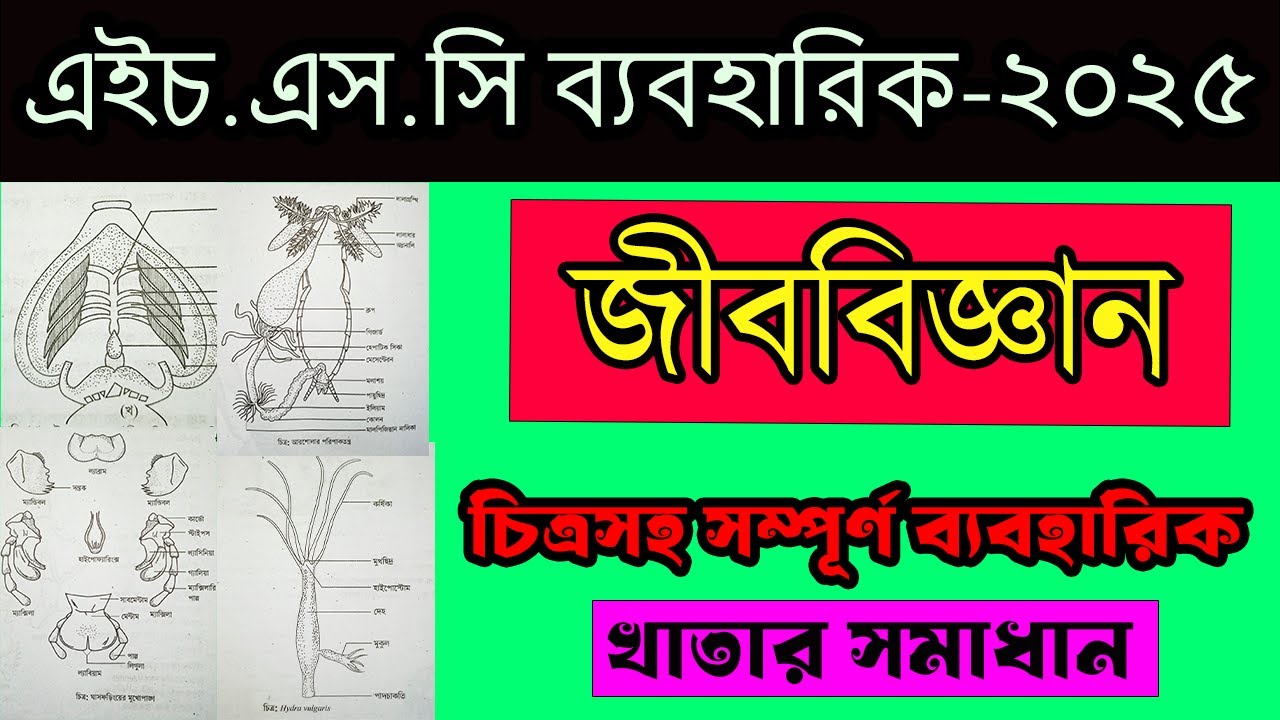 এইচএসসি ২০২৫ জীববিজ্ঞান ব্যবহারিক | HSC 2025 Biology practical | hsc ...