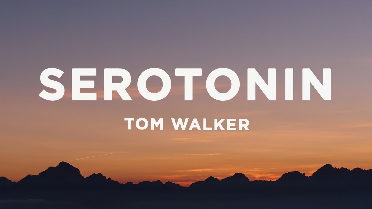 Tom Walker - Serotonin (Lyrics) - YouTube
