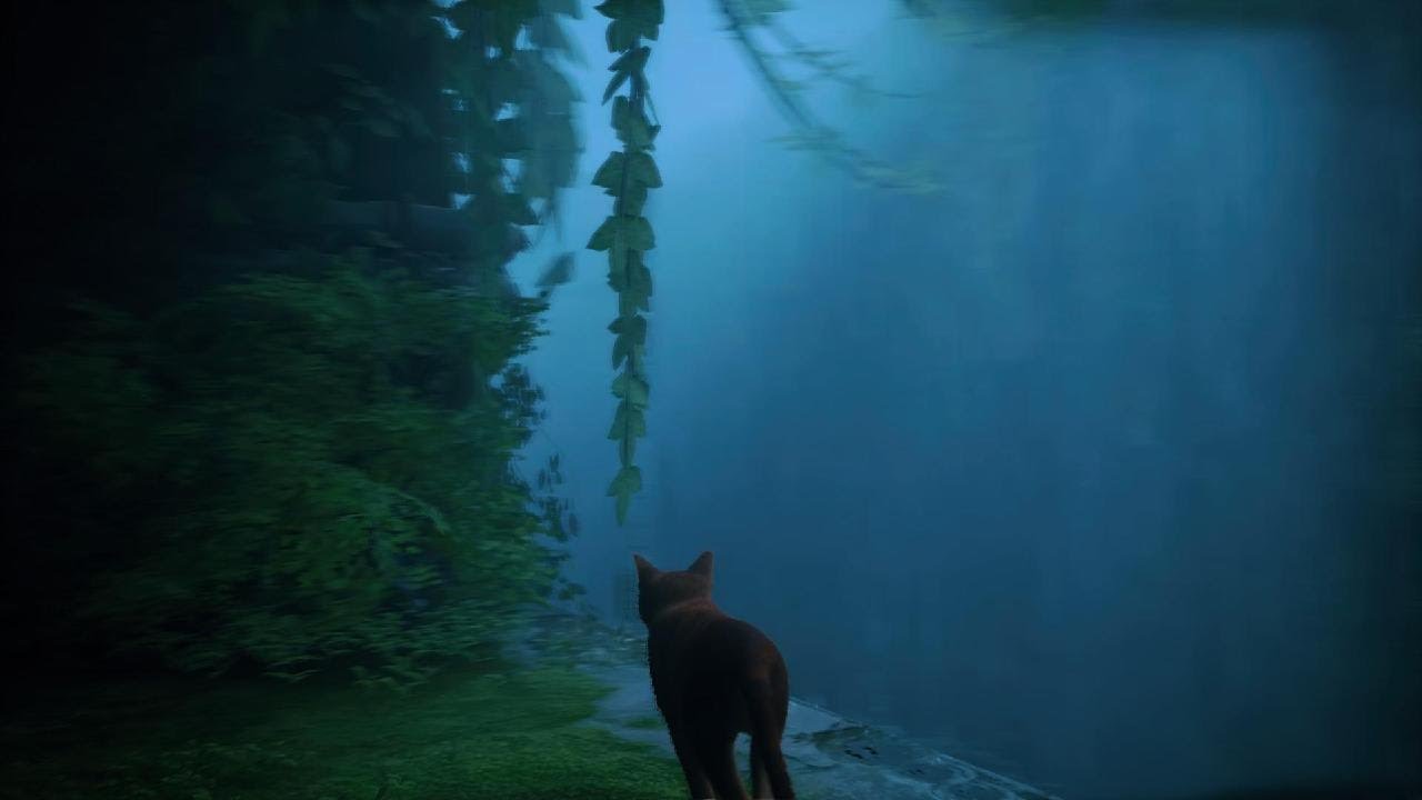 Stray - Opening Chapter - YouTube