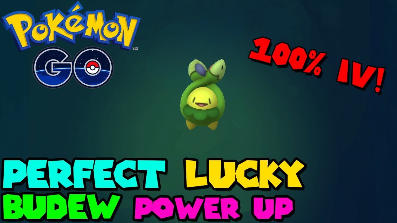 PERFECT LUCKY BUDEW POWER UP IN POKEMON GO - MAX CP BUDEW - YouTube
