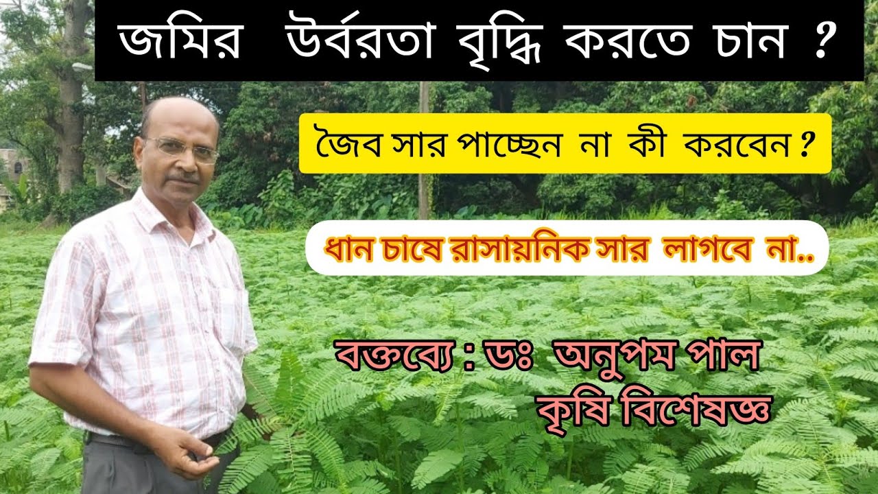 Dhaincha Cultivation/Green Manure/ ধইঞ্চা চাষের সুবিধা/সবুজ সার - YouTube