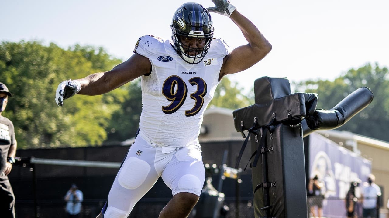 Calais Campbell | 2020 Highlights ᴴᴰ - YouTube