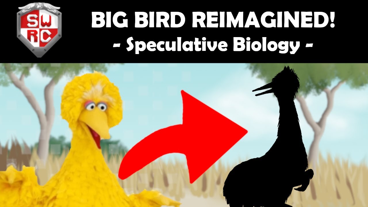 Big Bird Reimagined! (Speculative biology) - YouTube