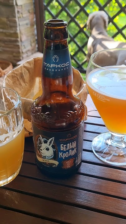 ПИВО "Белый кролик" 70 руб.! Пробуем!🍺#напитки #пиво #дегустация # ...