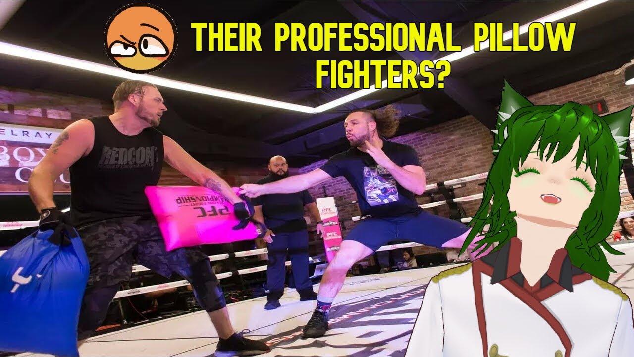 There is Professional Pillow Fighting!? - Daily Dose of Internet - YouTube