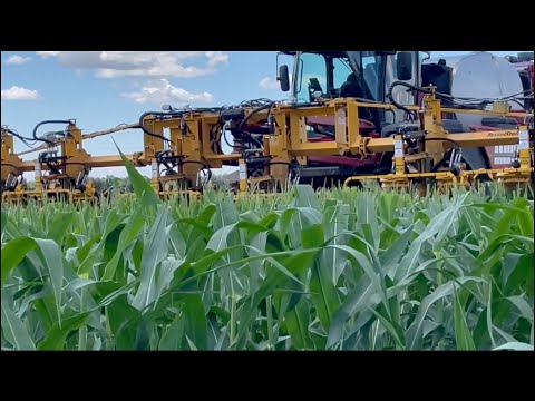 The Sharp Edge: Detasseling for seed production with Joe DeBrouwer ...