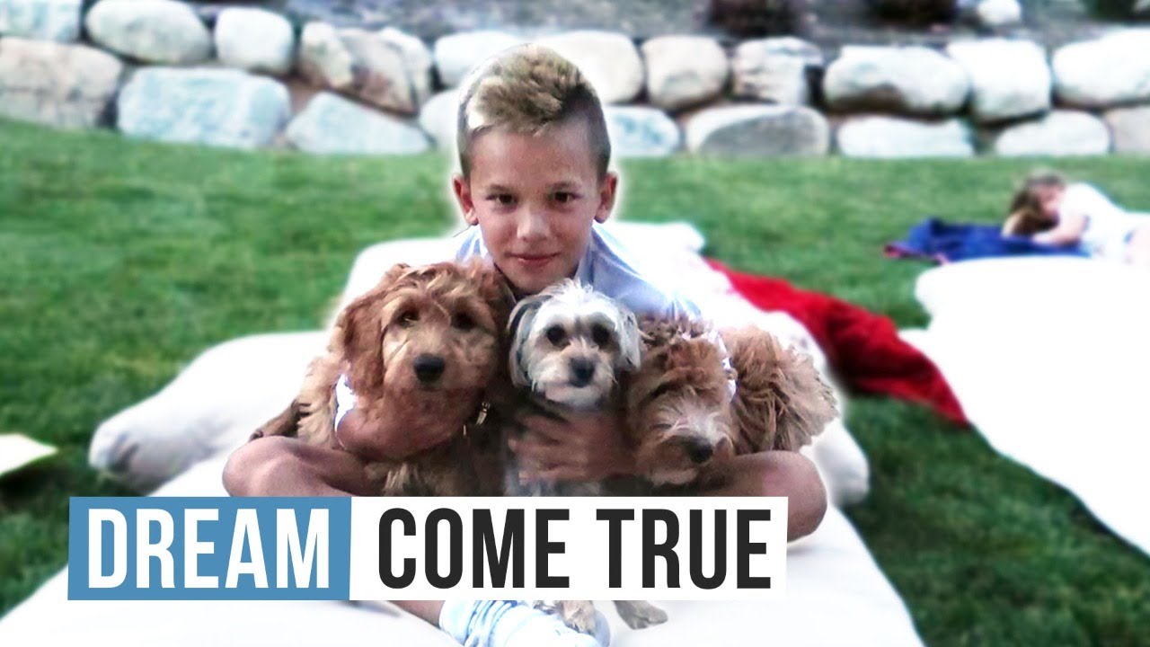 It’s Official We Have 3 Dogs | Rhett’s First Job | The LeRoys - YouTube