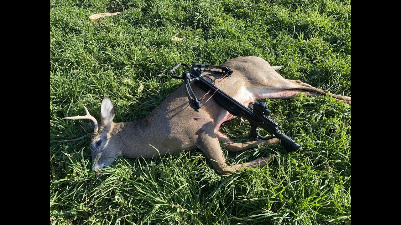 Deer Hunting in Upstate NY - YouTube