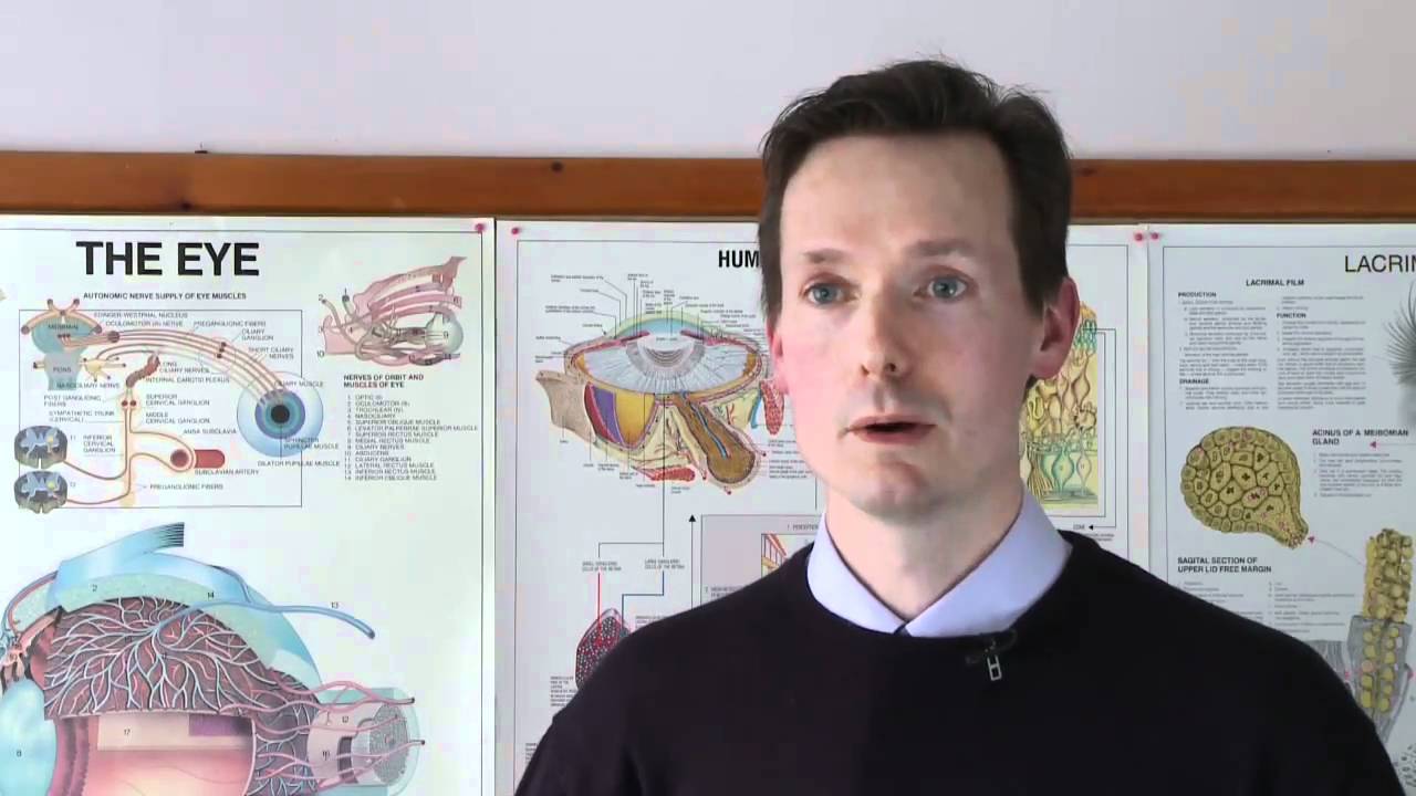 05 Papilloedema.mov - YouTube