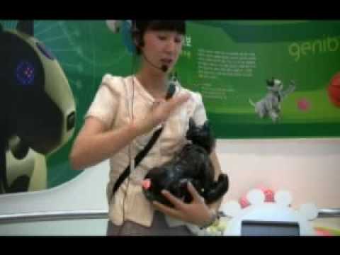 SOUTH KOREA- Pohang VIII (POSTEC Robot Museum Edition) - YouTube