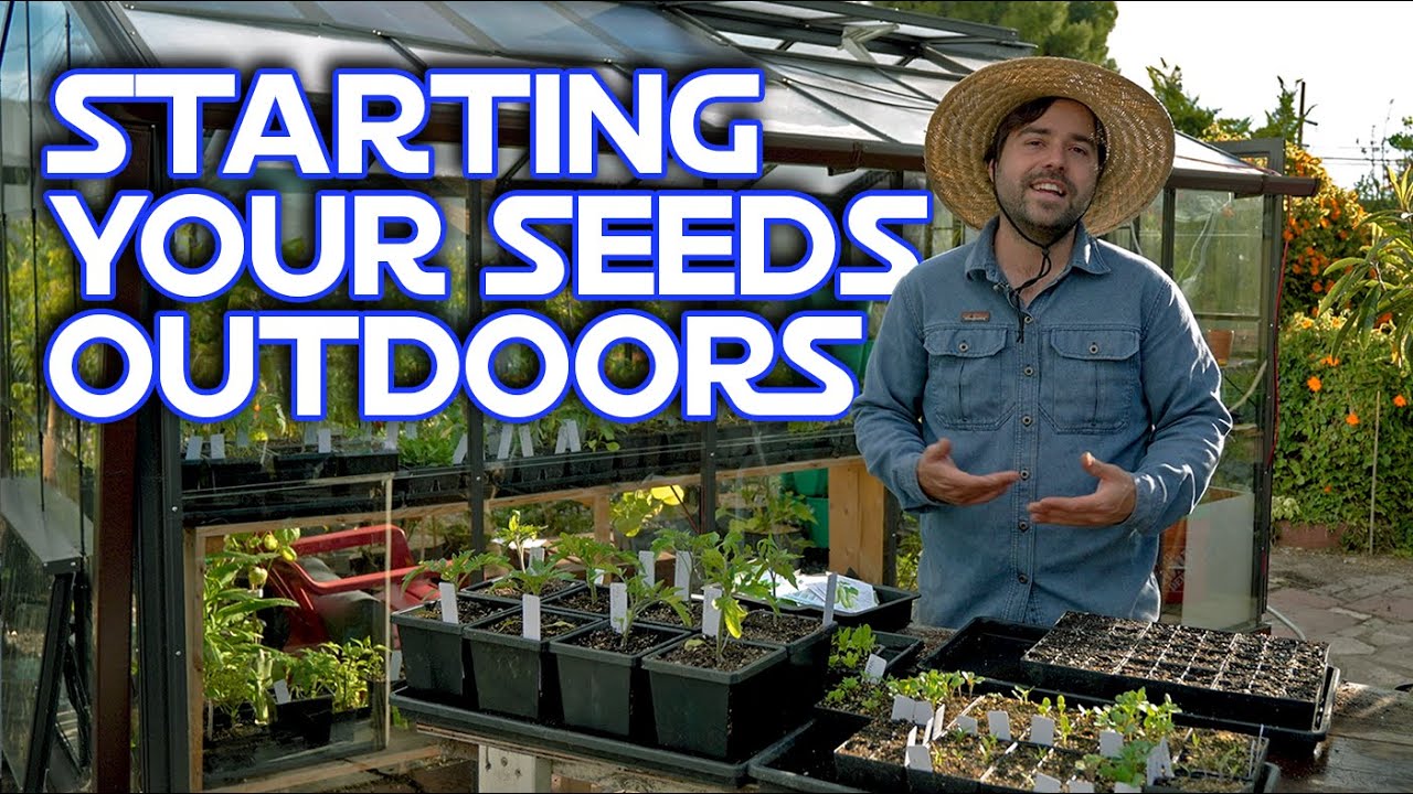 Starting All Your Seeds Outside | What To Expect - YouTube