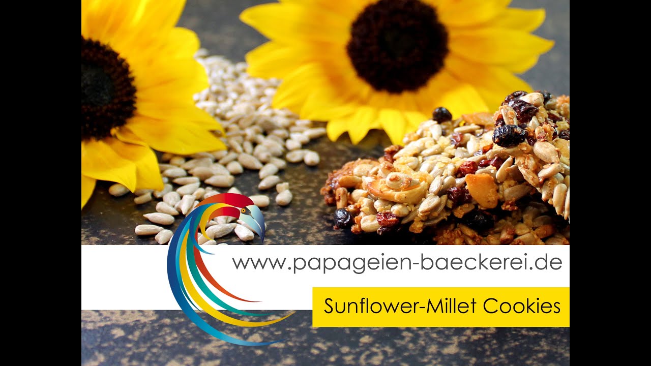 Make your own Parrot Cookies by #parrotbakery | Sunflower - Millet ...