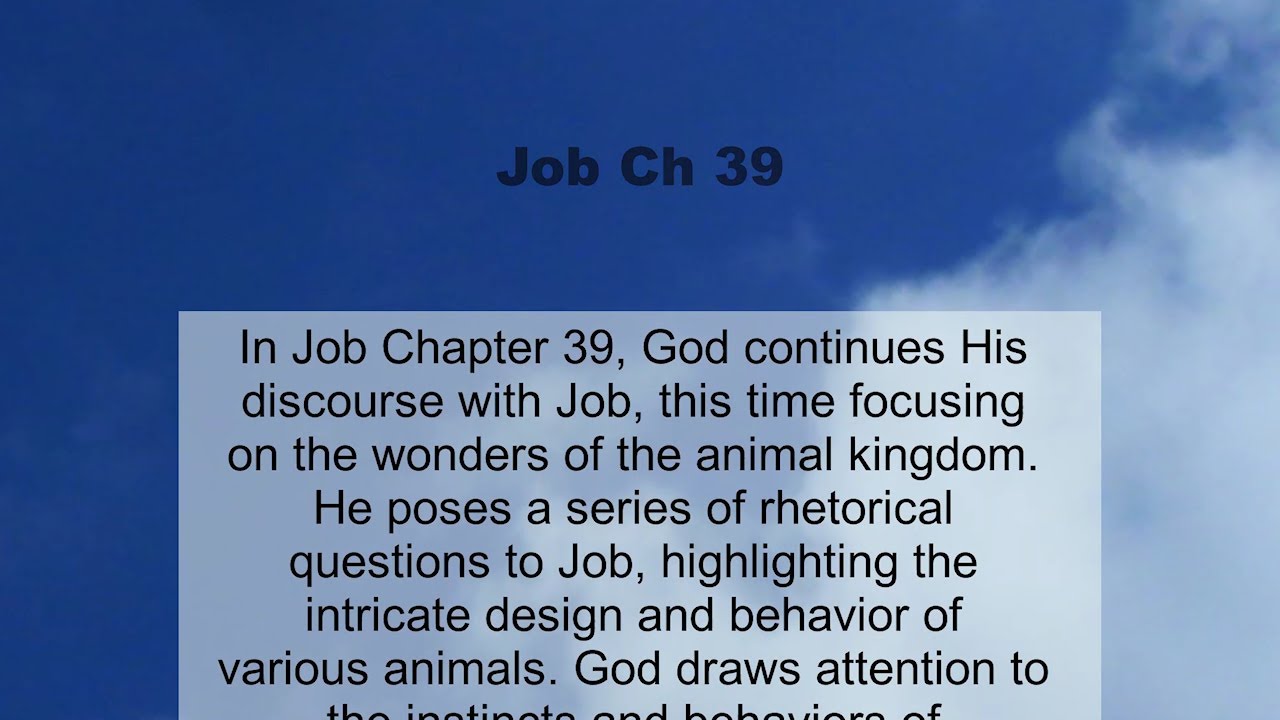 Job Chapter 39 summary and read together - YouTube