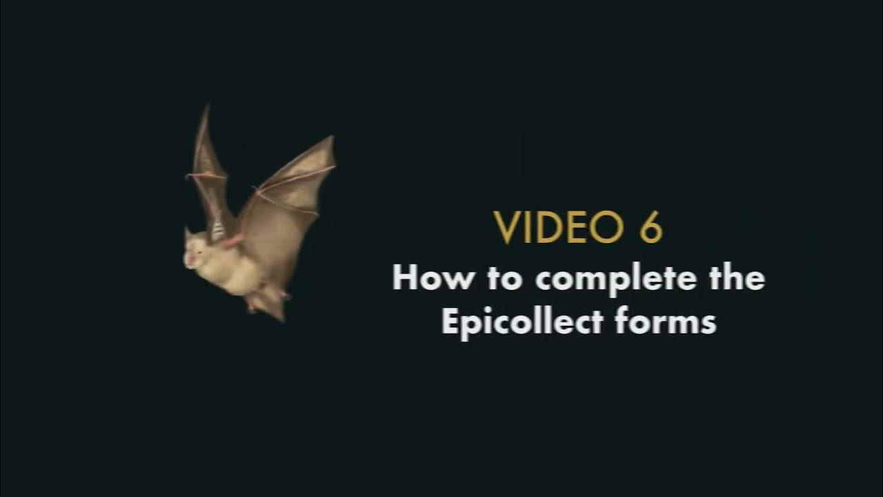 Video 6 - Completing the epicollect data forms - YouTube