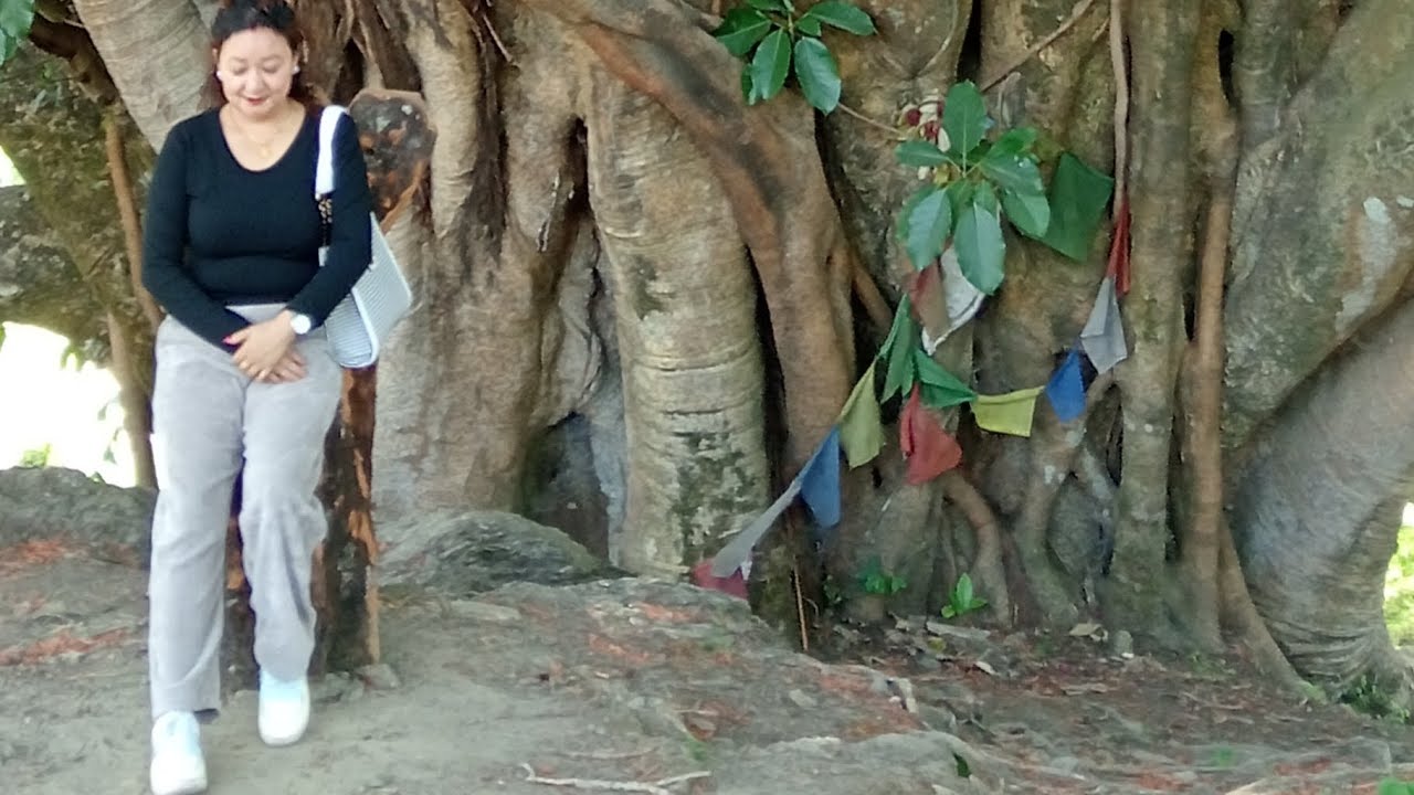 Second Top Tree of Asia in Nepal || Danda Bazar || - YouTube