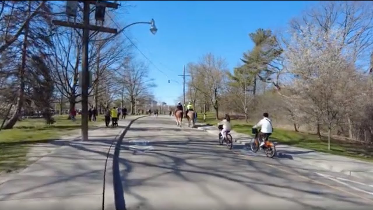 Toronto Walk: Walking Colborne Lodge Dr from The Queensway Back to High ...