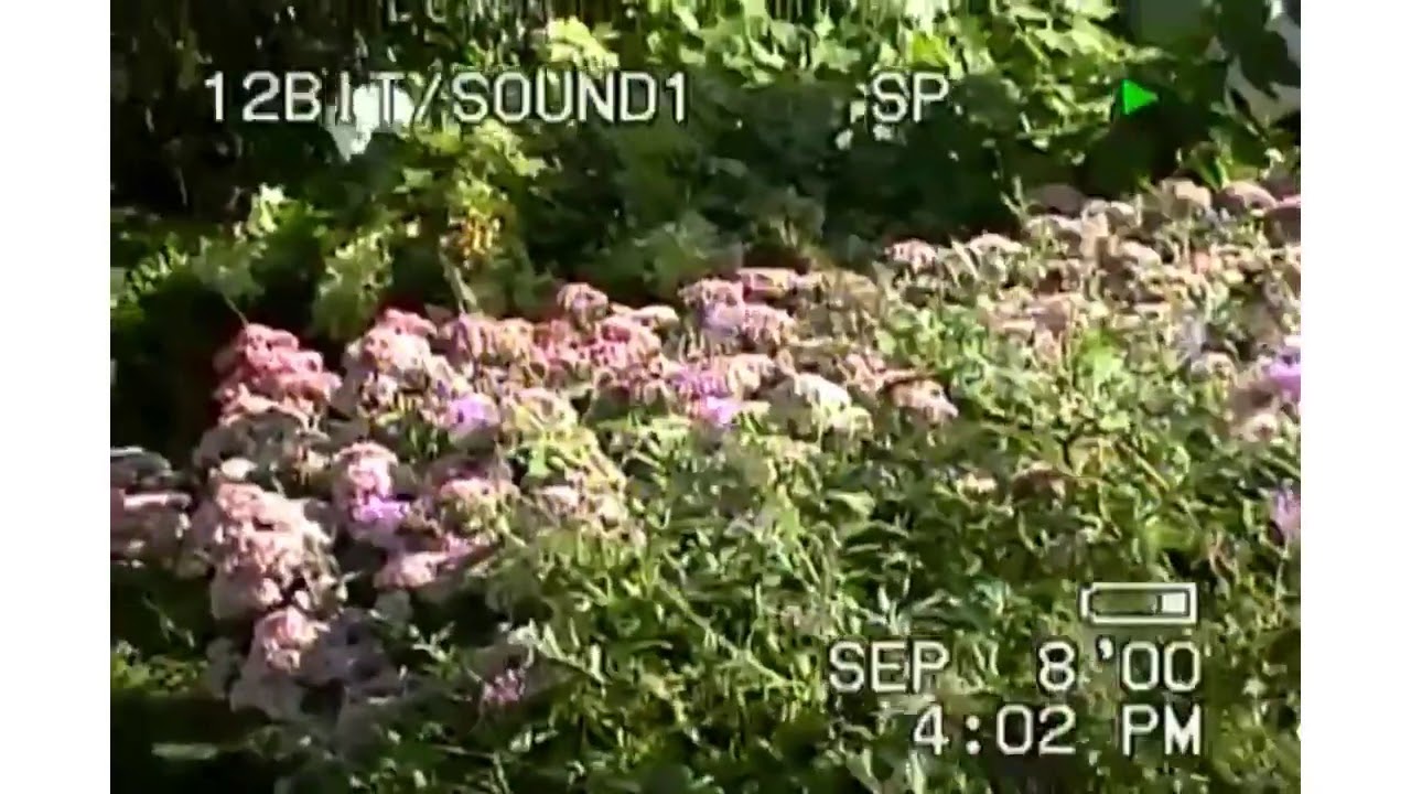 JVC GR-DVM70 테스트 영상 - YouTube