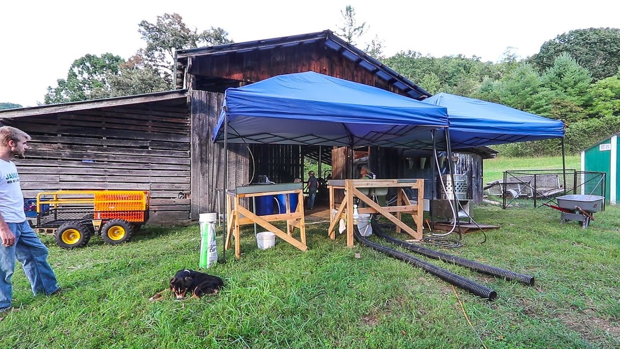 Maximist Chicken Butchering Set uP - YouTube