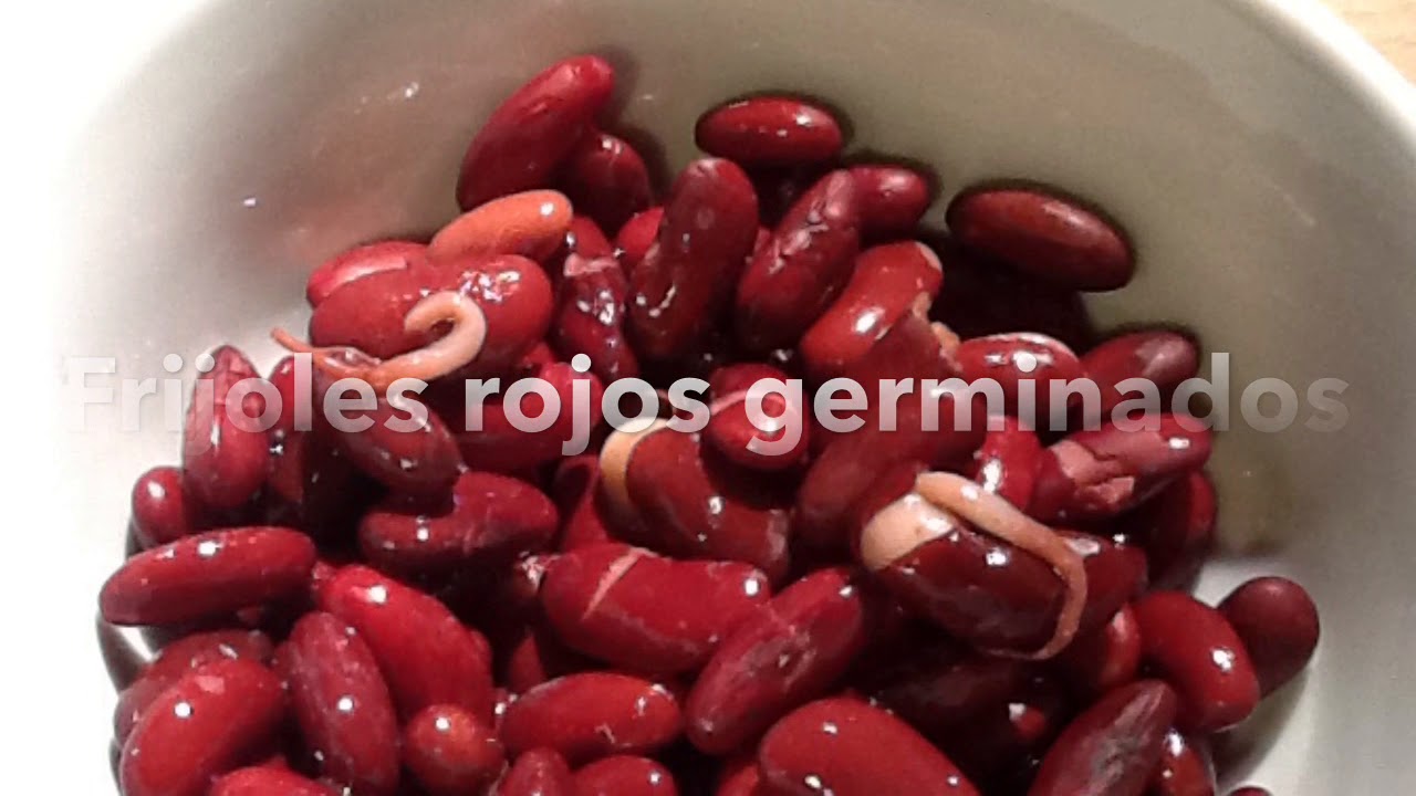Ensalada de leguminosas germinadas - YouTube
