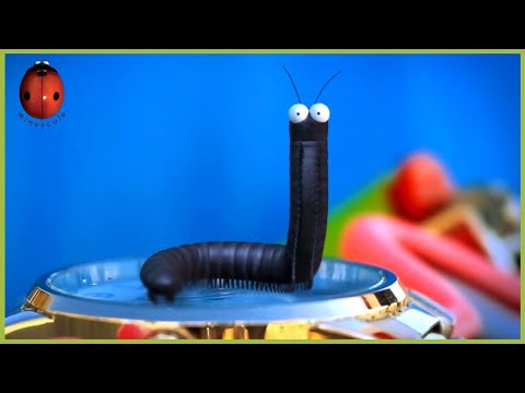 Thievish As A Magpie | Minuscule | 50' complation