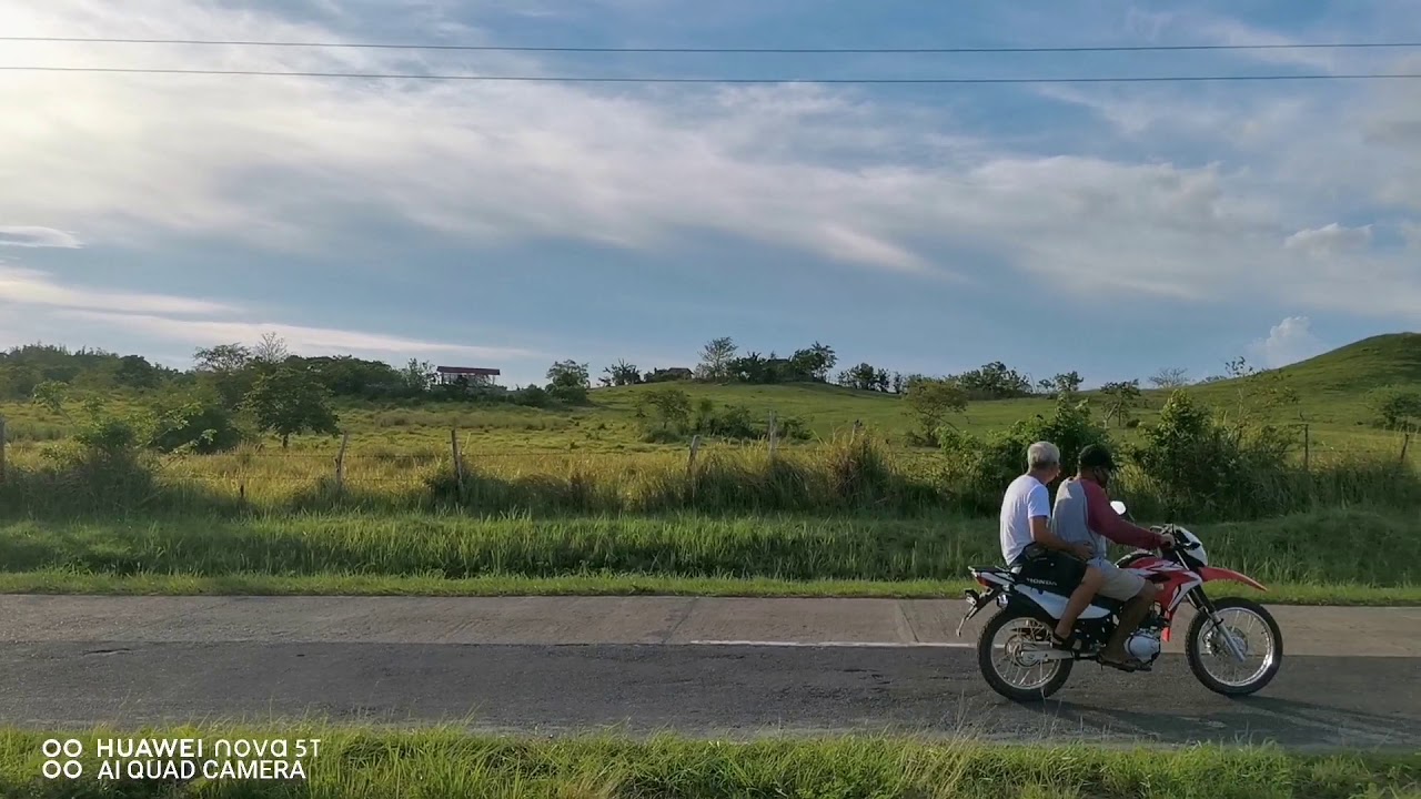 Masbate CATTLE RANCH AND FARM - YouTube