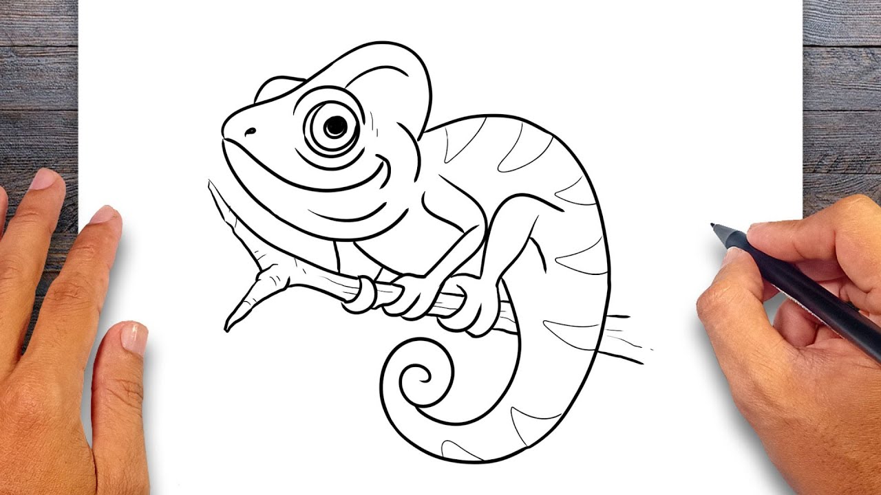 How to draw Chameleon Easy - YouTube