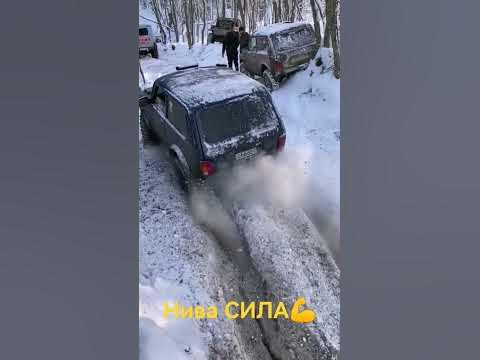 Нива сила💪 - YouTube