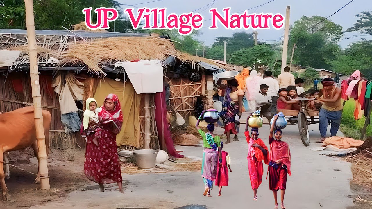 UP Village Nature। Indian Village Culture Uttar Pradesh। Real Life ...