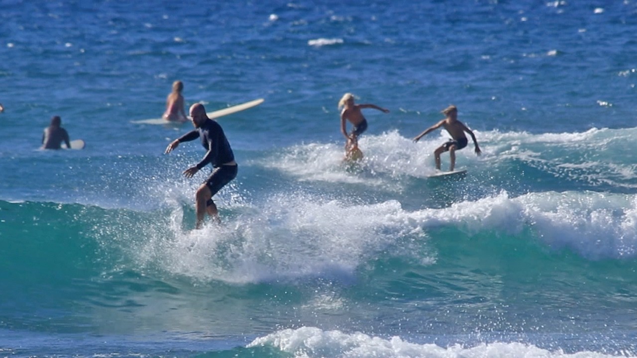Chuns Reef North Shore Hawaii [5/29/25] Long Board Nose Riders, Short ...