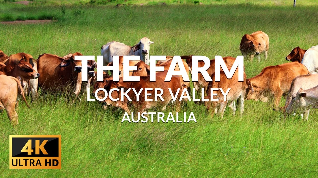 THE FARM - LOCKYER VALLEY Queensland Australia | DJI AIR 3S 4K UHD Video & Relaxing Music - YouTube