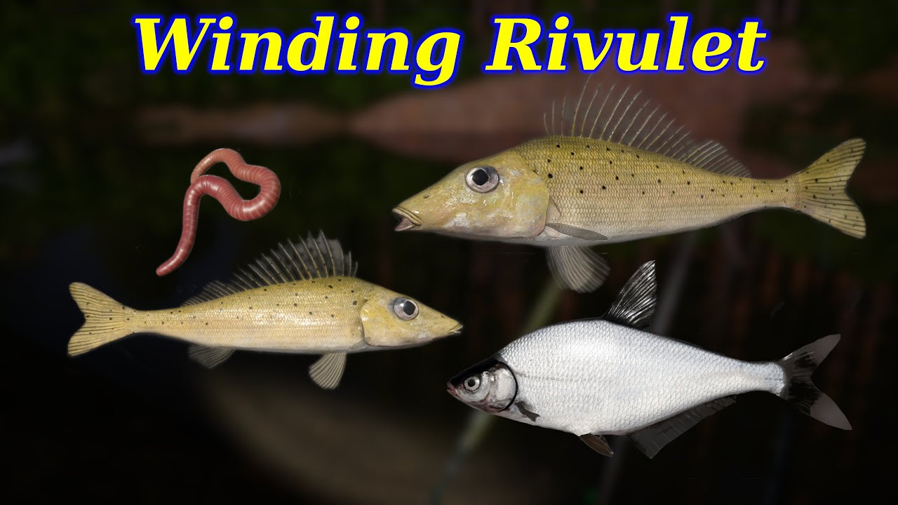 Russian Fishing 4 | Winding Rivulet | Donets Ruffe Blue & White Bream ...