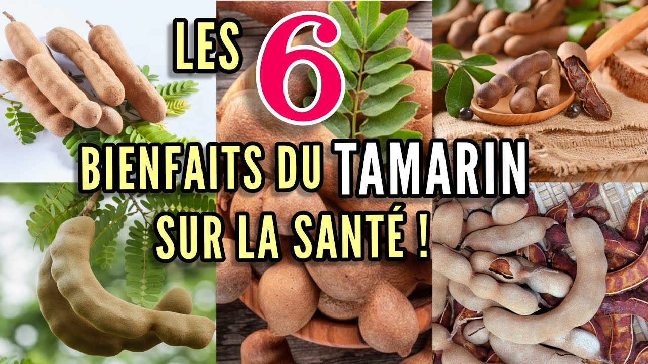 Les 6 Bienfaits Du Tamarin Sur La Santé! - YouTube