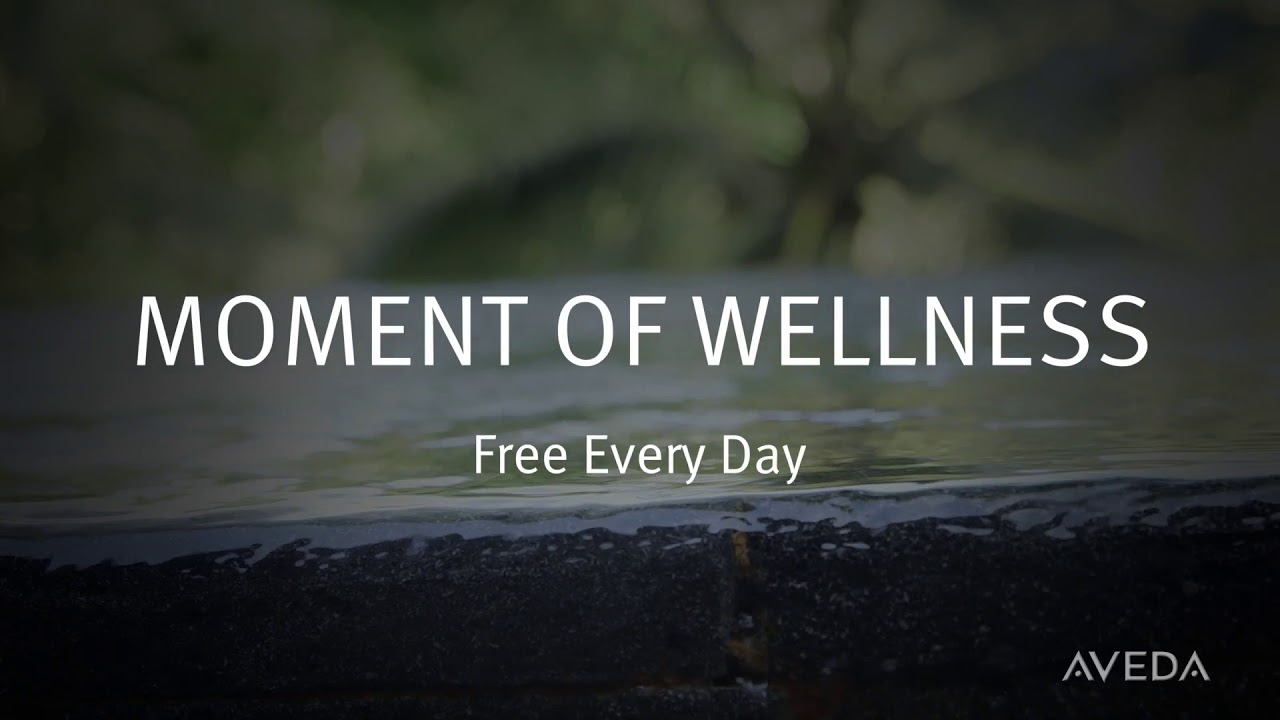 데이앤라이프, MOMENT OF WELLNESS - YouTube