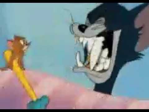 Teeth breaking | Tom & Jerry - YouTube